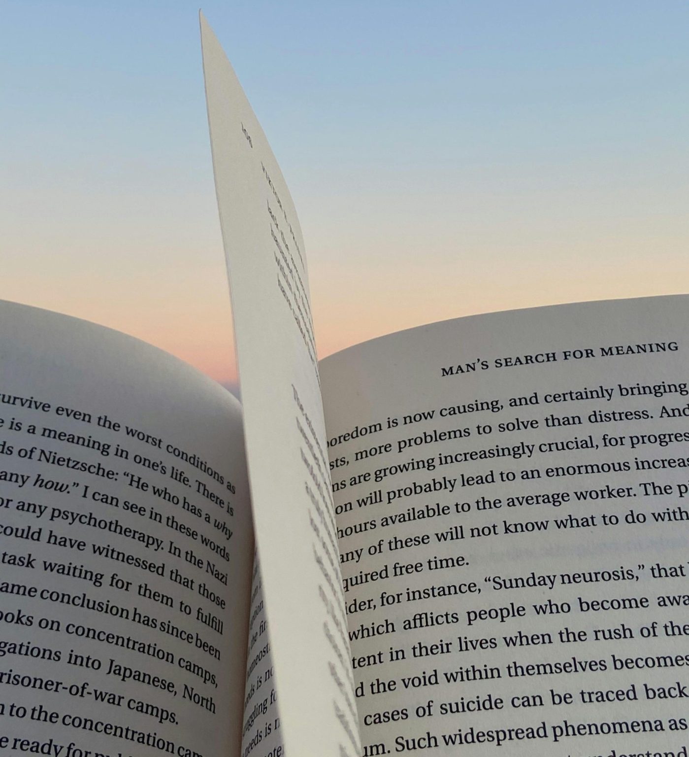 The Reader’s Identity: Discovering Yourself Through Characters - The ...